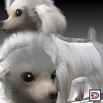 Second Life Marketplace - [Danielito] Poodle White Dog